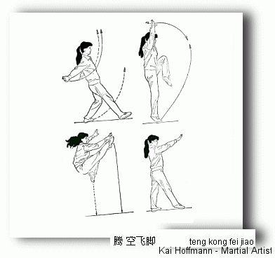 Teng Kong Fei Jiao | Wiki EWO | Fandom