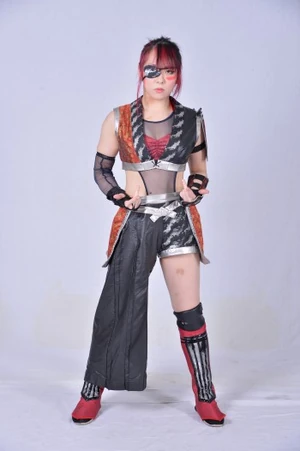 Michiko Yamada | The eWrestling Encyclopedia | Fandom