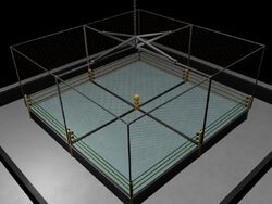 DeathCube Match | The eWrestling Encyclopedia | Fandom