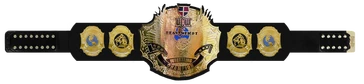 Ultimate Championship Wrestling (UCW) | The eWrestling Encyclopedia ...