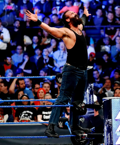 Roan | The eWrestling Encyclopedia | Fandom