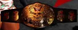 World Wrestling Council | The eWrestling Encyclopedia | Fandom