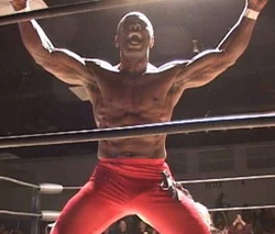 DeAngelo Williams | The eWrestling Encyclopedia | Fandom