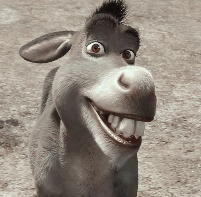 Donkey (Shrek) | Excellent Eejit Wiki | Fandom