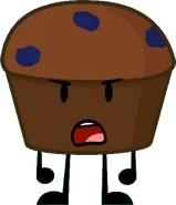 Muffin | Excellent Entities Wiki | Fandom