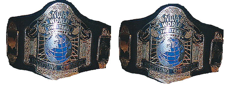 World Tag Team Championship | Excel Wrestling Action! Wiki | Fandom