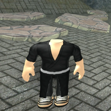 Ninja Robes | Roblox Excursion Wiki | Fandom