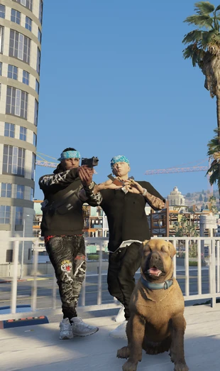 DSR/Events | ExecutiveRP Wiki | Fandom