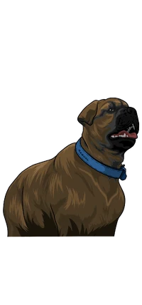 DSR/Members | ExecutiveRP Wiki | Fandom