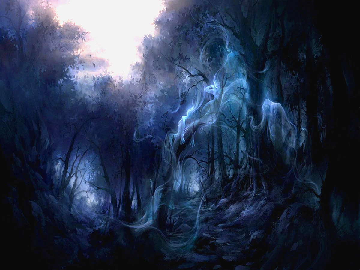 Bosque Gris | Wiki Exelium | Fandom