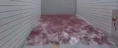 Brownish-red Flood | Exit 8 Wiki | Fandom