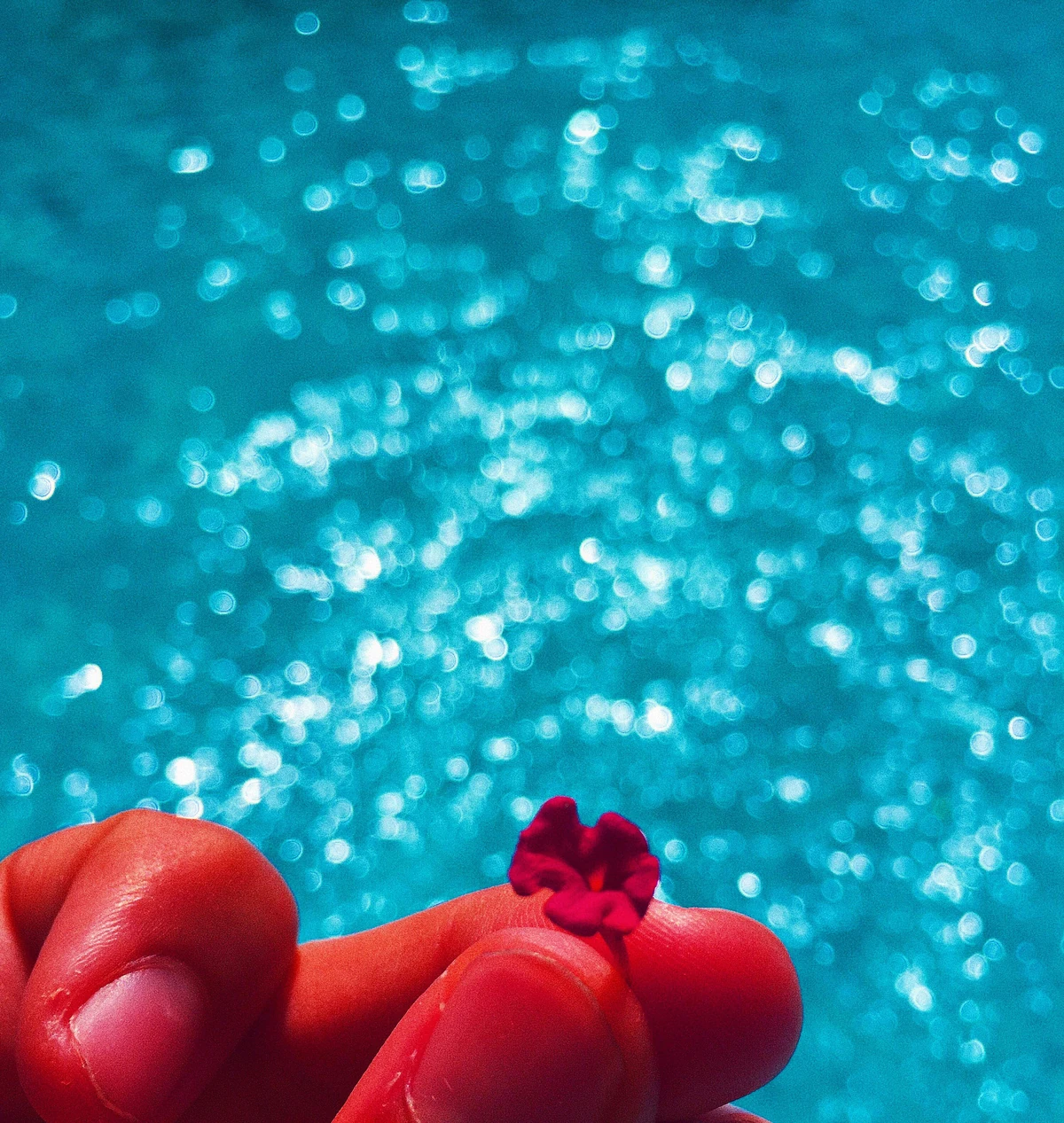 B-Sides Vol.6 | Exociety Wiki | Fandom