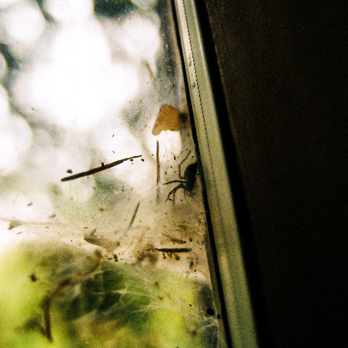 Deception Falls | Exociety Wiki | Fandom