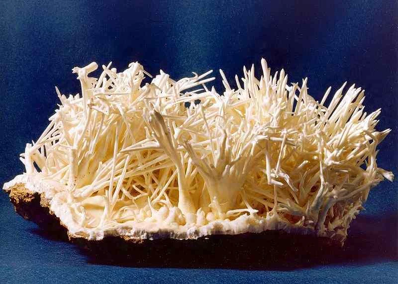 Aragonite | Exodus3000 Wiki | Fandom