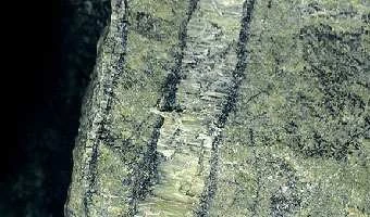 Serpentinite | Exodus3000 Wiki | Fandom