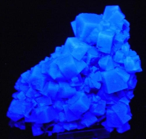 Fluorescent Benite | Exodus3000 Wiki | Fandom