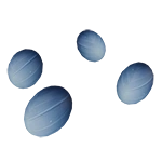 Moon Blossom Seeds | Exodusgbw Wiki | Fandom