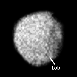 Lob | 地外地形數據庫 | Fandom