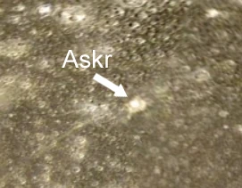 Askr | 地外地形數據庫 | Fandom