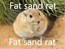 Fat Sand Rat | ExOnOe's Universe Wiki | Fandom