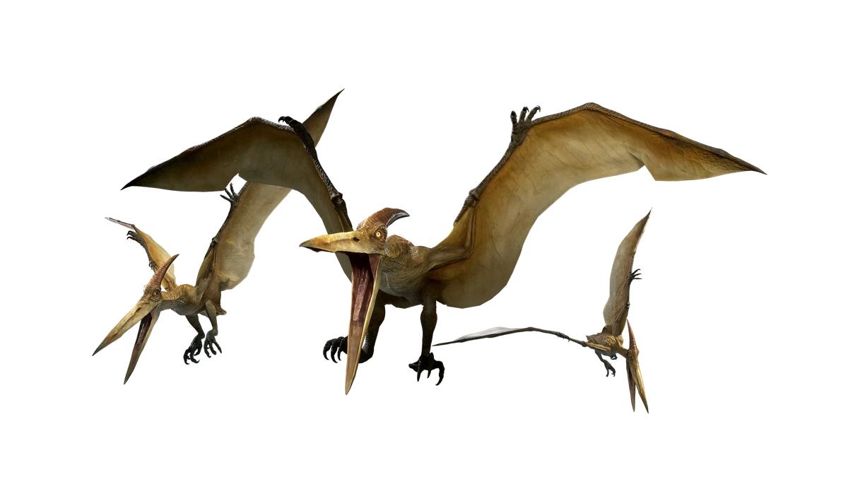 Pteranodon | Exoprimal Wiki | Fandom