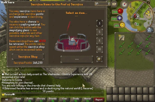 Pool Of Sacrifice | Exora - RSPS Wiki | Fandom