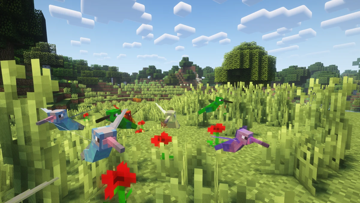 Hummingbird | Exotic Birds Wikia | Fandom