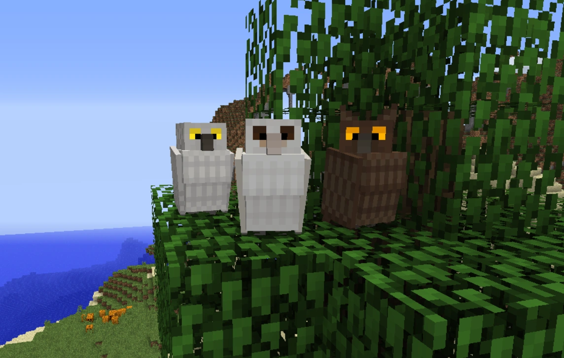 Minecraft birds