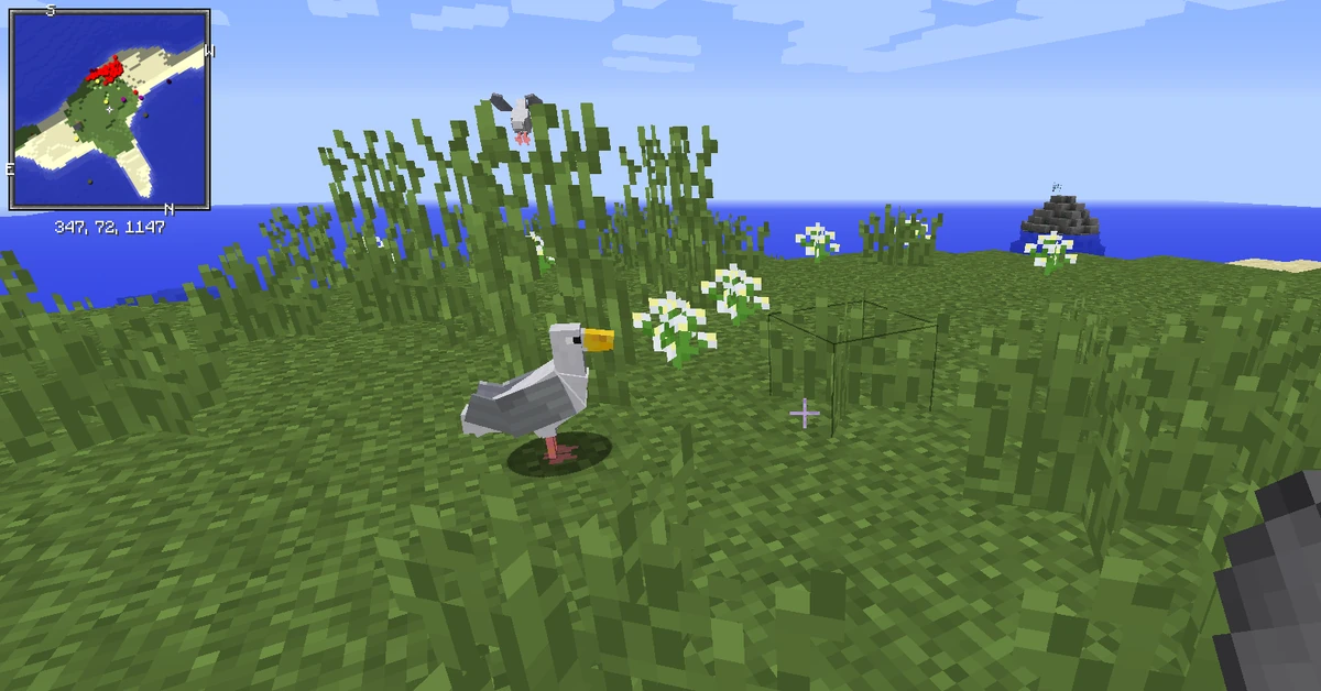 Gull | Exotic Birds Wikia | Fandom