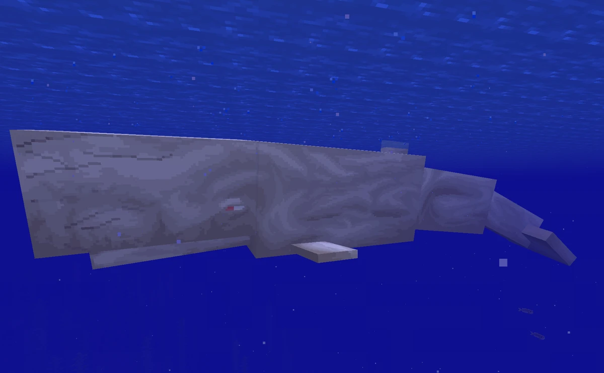 Cachalot Whale | Expanded Minecraft Wiki | Fandom