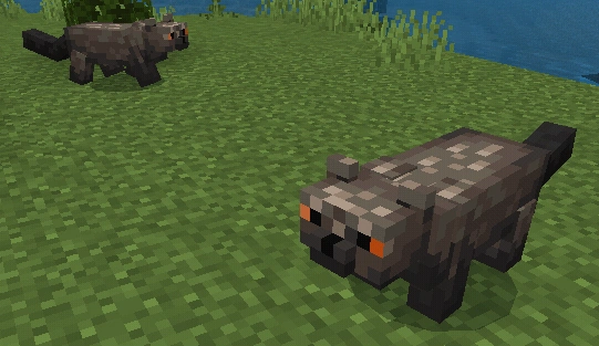 Binturong | Expanded Minecraft Wiki | Fandom