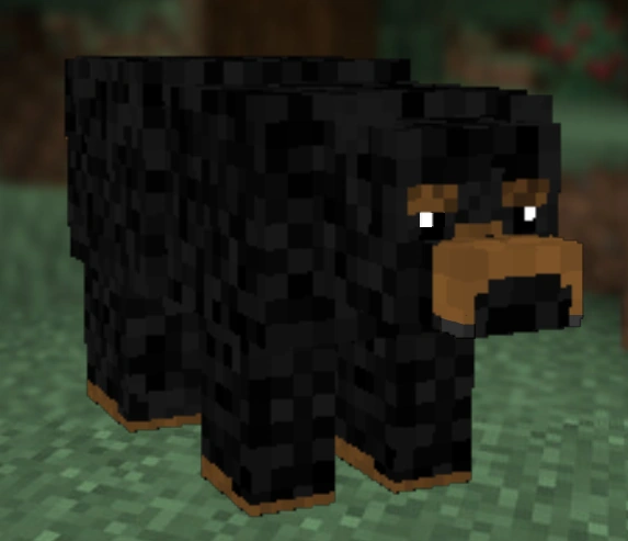 Black Bear | Expanded Minecraft Wiki | Fandom