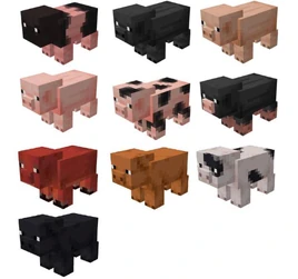 Pig | Expanded Minecraft Wiki | Fandom