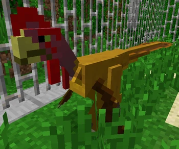 Oviraptorid | Expanded Minecraft Wiki | Fandom