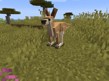 Kangaroo | Expanded Minecraft Wiki | Fandom