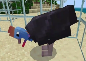 Cassowary | Expanded Minecraft Wiki | Fandom