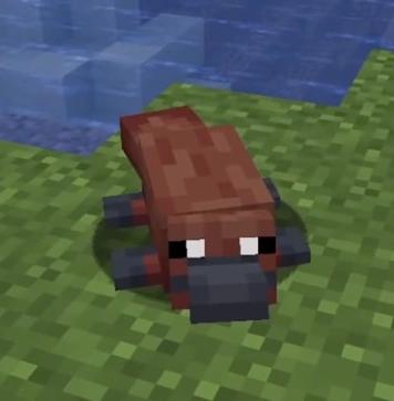 Platypus | Expanded Minecraft Wiki | Fandom