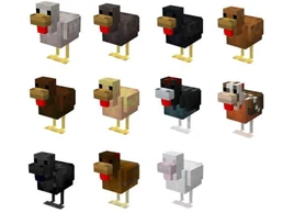 Chicken | Expanded Minecraft Wiki | Fandom
