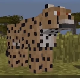 Cheetah | Expanded Minecraft Wiki | Fandom
