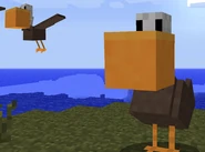 Pelican | Expanded Minecraft Wiki | Fandom