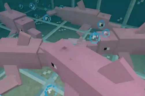 River Dolphin | Expanded Minecraft Wiki | Fandom