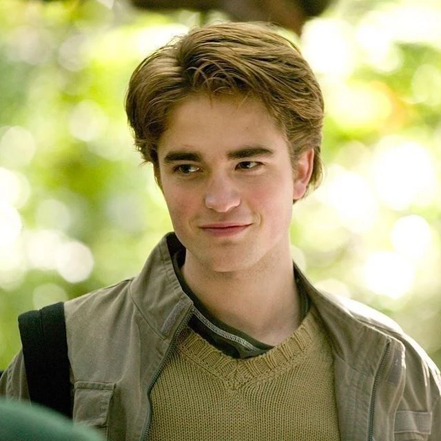 Cedric Diggory | Expanded Wizarding World (headcanon only) Wiki | Fandom