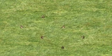 Mynock | SWGB: Expanding Fronts Wiki | Fandom
