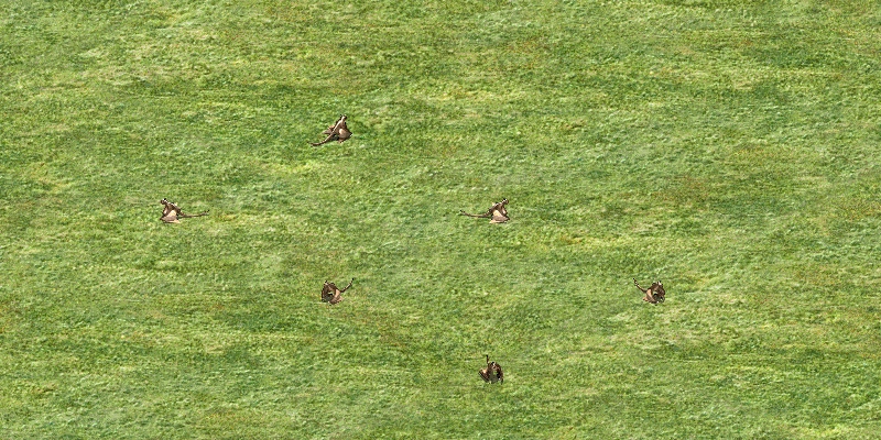 Mynock | SWGB: Expanding Fronts Wiki | Fandom