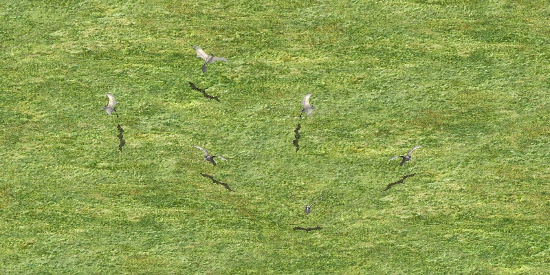 Flit | SWGB: Expanding Fronts Wiki | Fandom