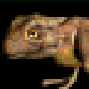 Gizka | SWGB: Expanding Fronts Wiki | Fandom