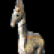 Ronto | SWGB: Expanding Fronts Wiki | Fandom