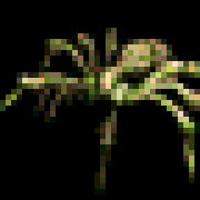 Arachne | SWGB: Expanding Fronts Wiki | Fandom