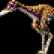 Kaadu | SWGB: Expanding Fronts Wiki | Fandom