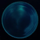 Everything To Know About The Expanse | Fandom